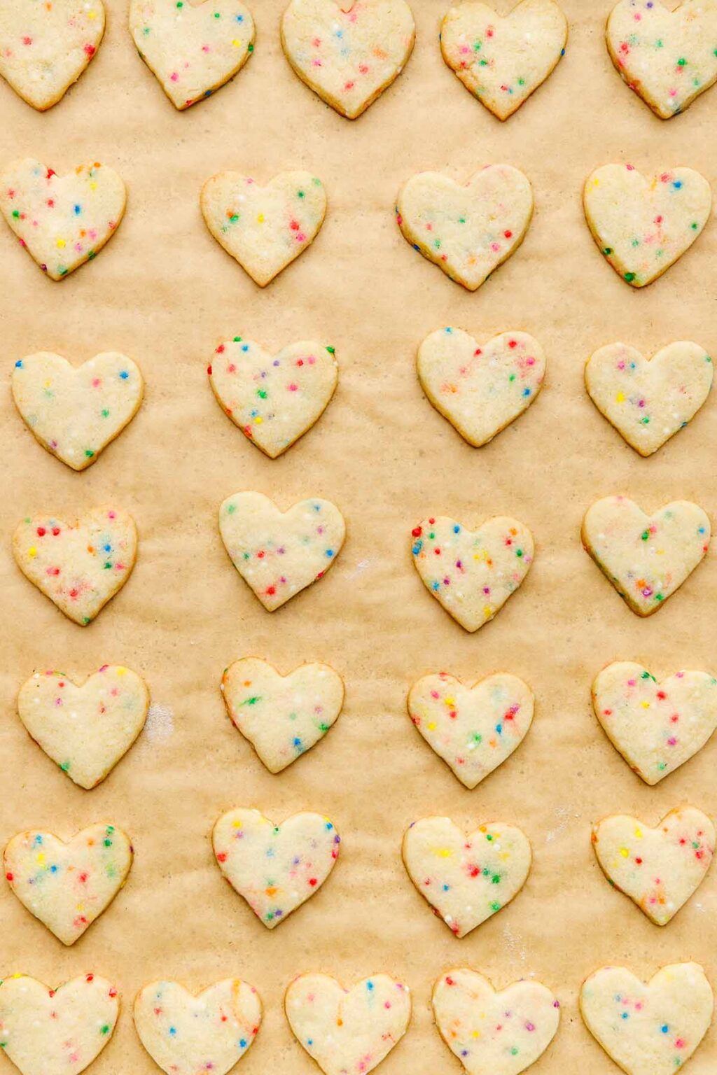 Sugar Cookies With Sprinkles - Kelly Neil