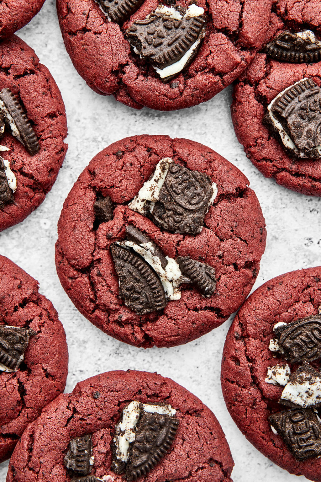 Sugar Cookies With Sprinkles | Kelly Neil