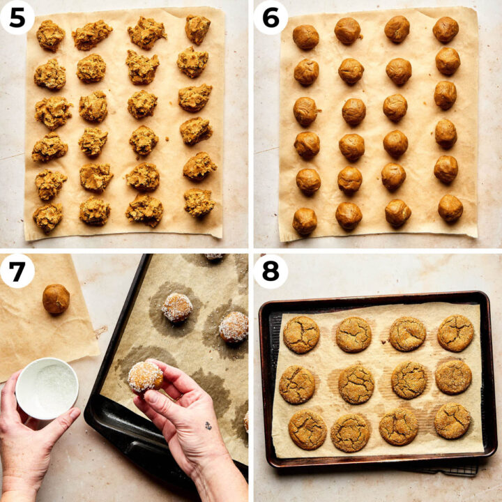 Ginger Sparklers (Old-Fashioned Ginger Cookies) | Kelly Neil